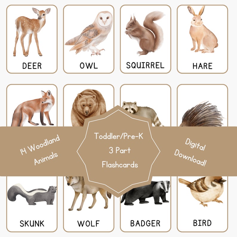 Toddler/pre-k Woodland Animal Flashcards - Etsy