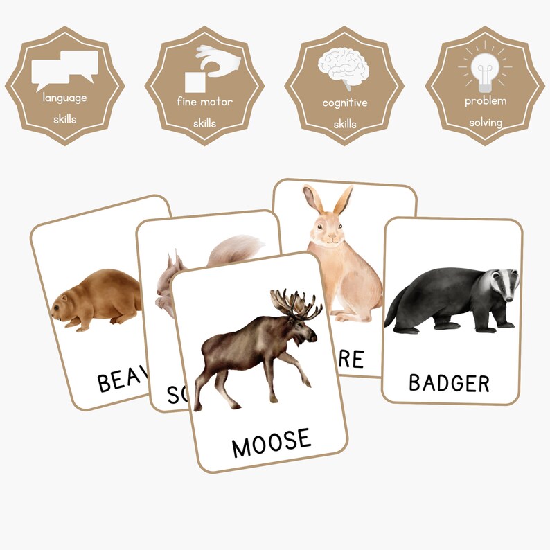 Toddler/pre-k Woodland Animal Flashcards - Etsy