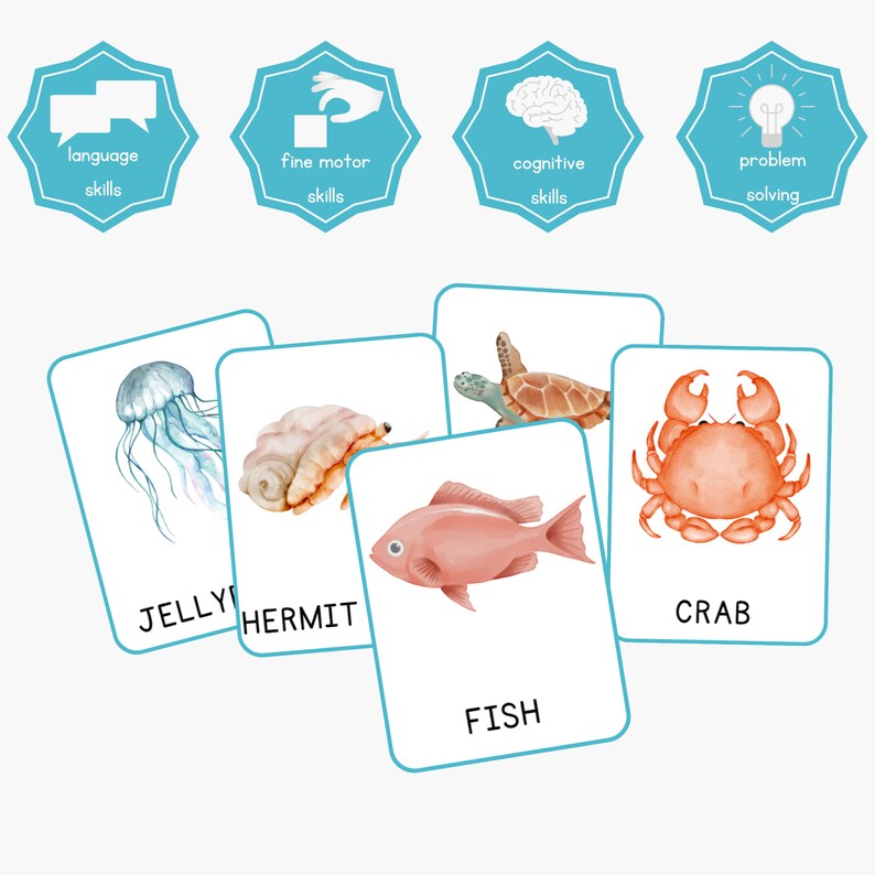 Toddler/pre-k Ocean Animals Flashcards - Etsy