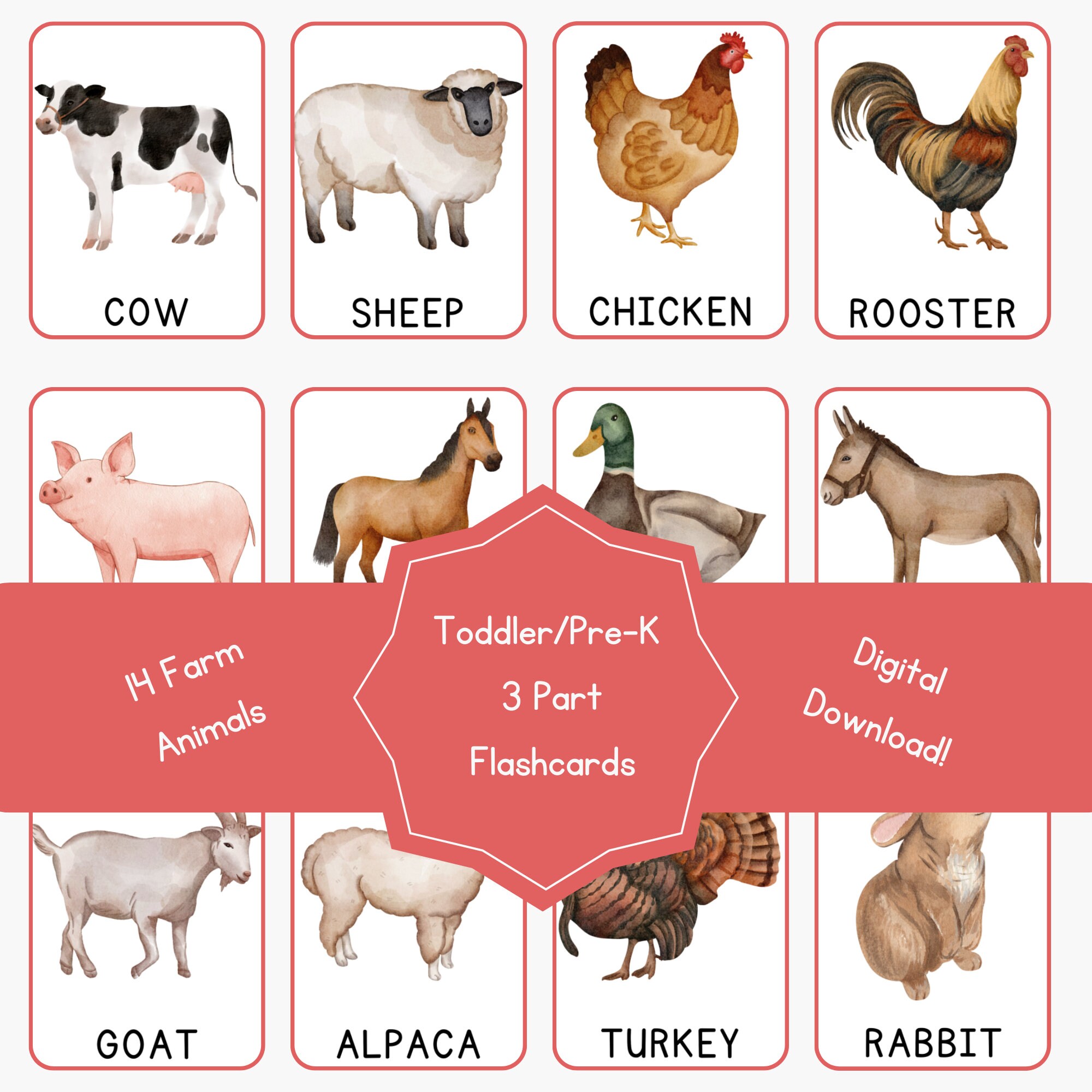 Toddler/pre-k Farm Animals Flashcards - Etsy