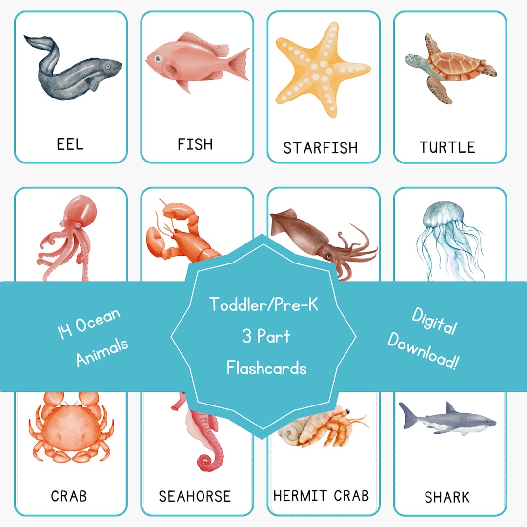 Toddler/pre-k Ocean Animals Flashcards - Etsy