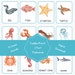 Toddler/pre-k Ocean Animals Flashcards - Etsy Canada