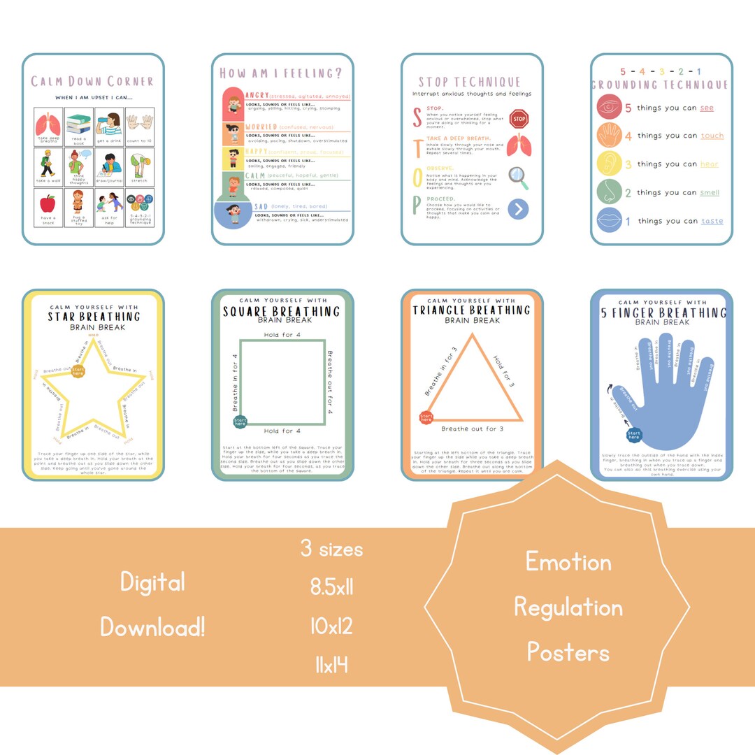 Emotion Regulation Posters - Etsy