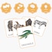 Toddler/pre-k Zoo Animal Flashcards - Etsy