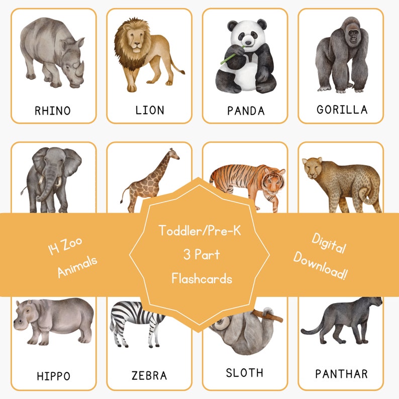 Toddler/pre-k Zoo Animal Flashcards - Etsy