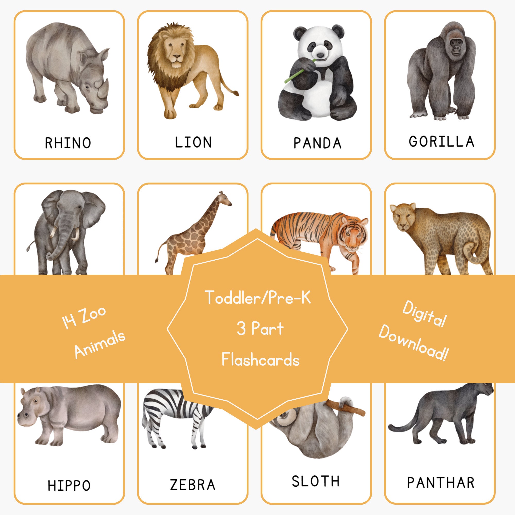 Toddler/pre-k Zoo Animal Flashcards - Etsy