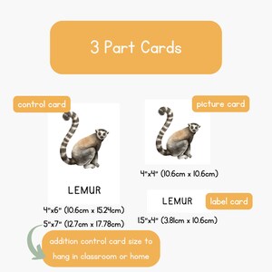 Toddler/pre-k Zoo Animal Flashcards - Etsy