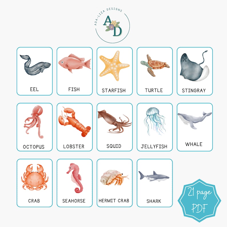 Toddler/pre-k Ocean Animals Flashcards - Etsy Canada