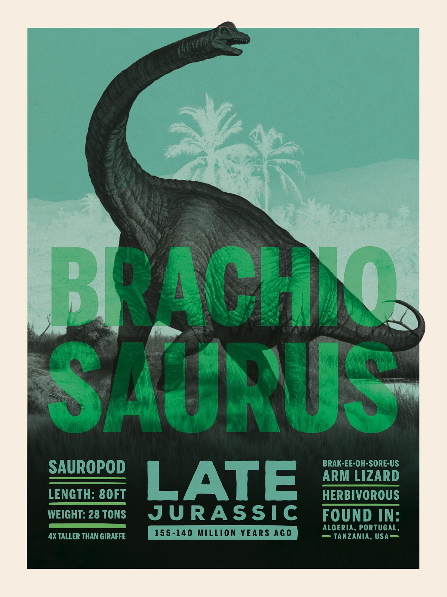 Brachiosaurus Dinosaur Infographic Fact Print 12x16 In. - Etsy
