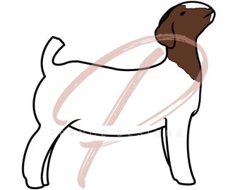 Show Goat Digital Graphic - Etsy