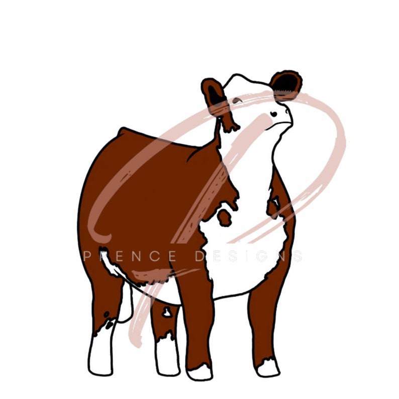 Hereford Heifer Digital Graphic - Etsy