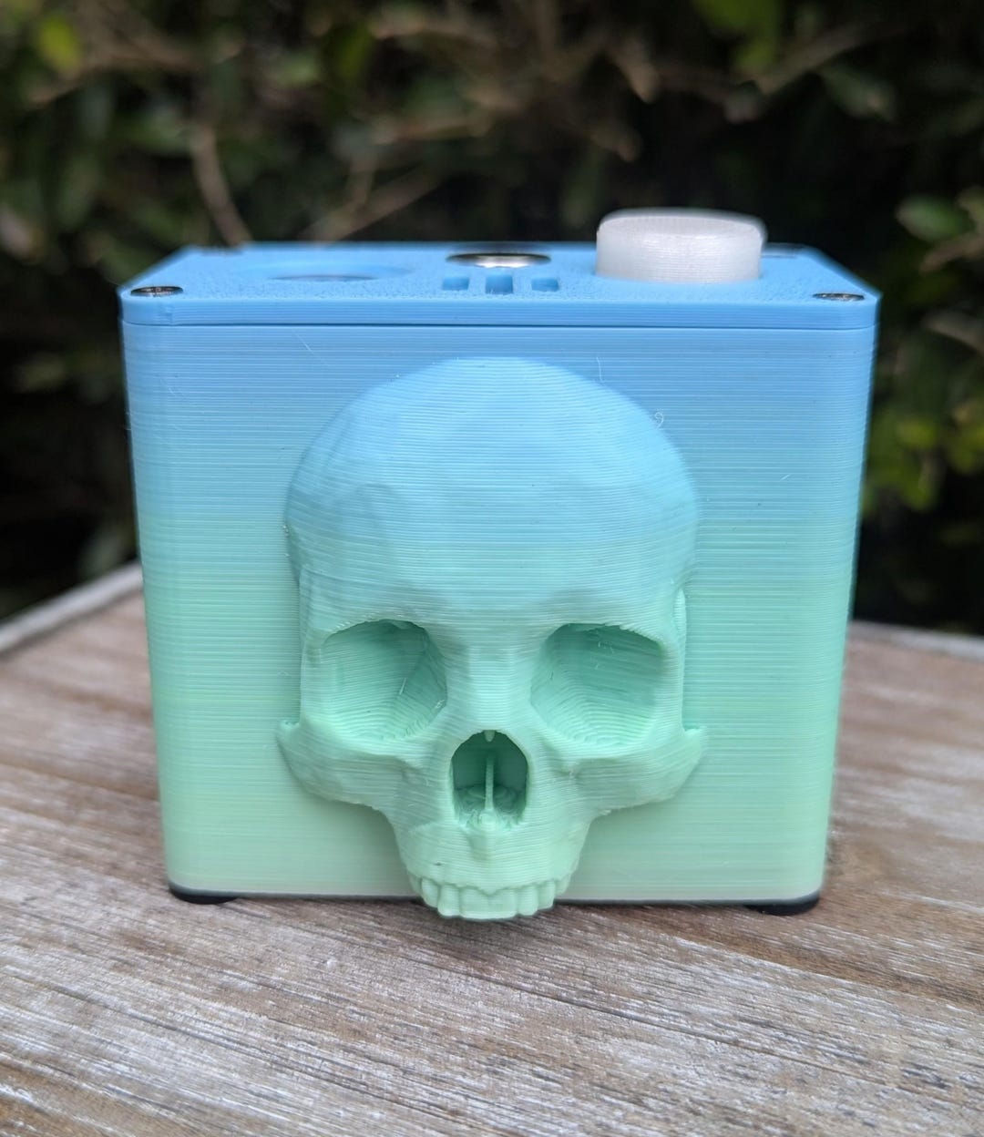Induction Heater for Dynavap Blue Green Skull Gradiant (WITH Power ...