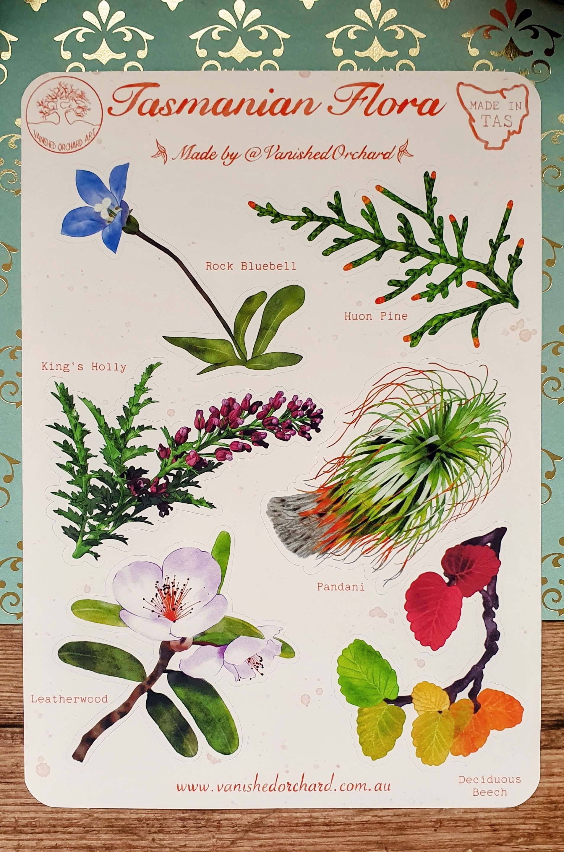 Tasmanian Australian Native Plants and Flowers Sticker Sheet - Etsy