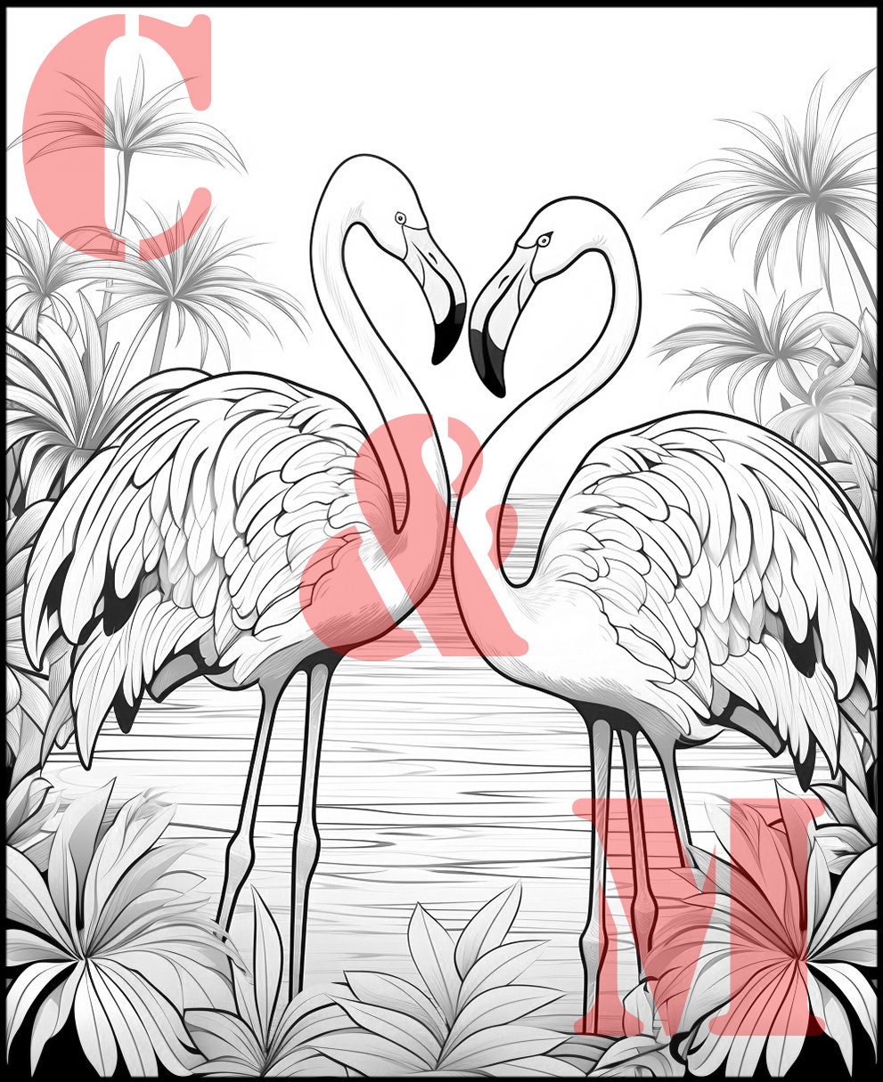 Birds of America Printable Coloring Pages of North American Birds ...