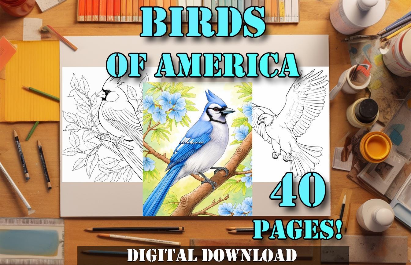 Birds of America Printable Coloring Pages of North American Birds ...