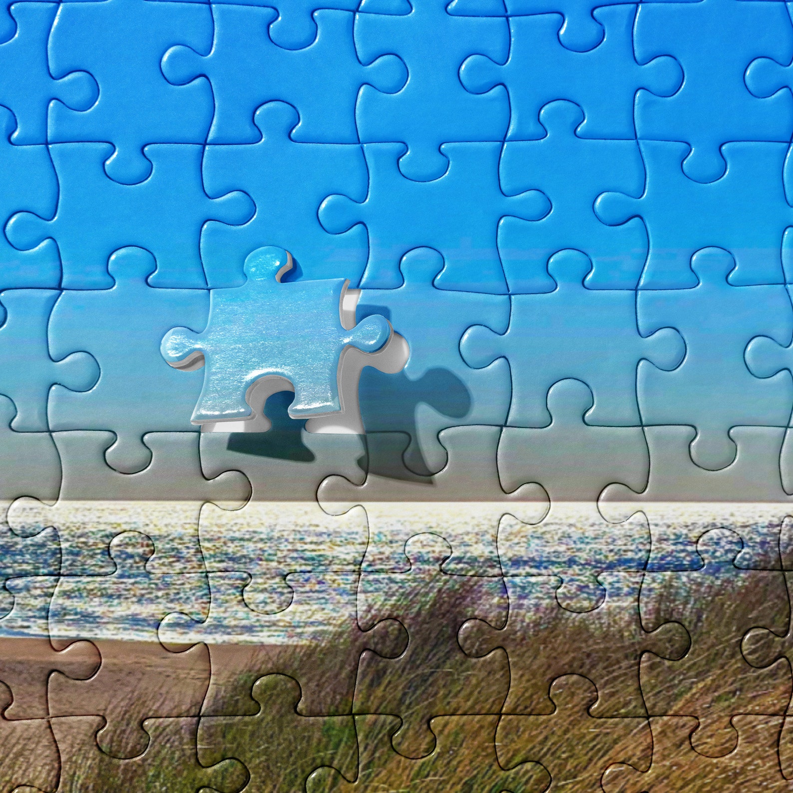 Point Reyes National Seashore: Willow Cove Puzzles - Etsy