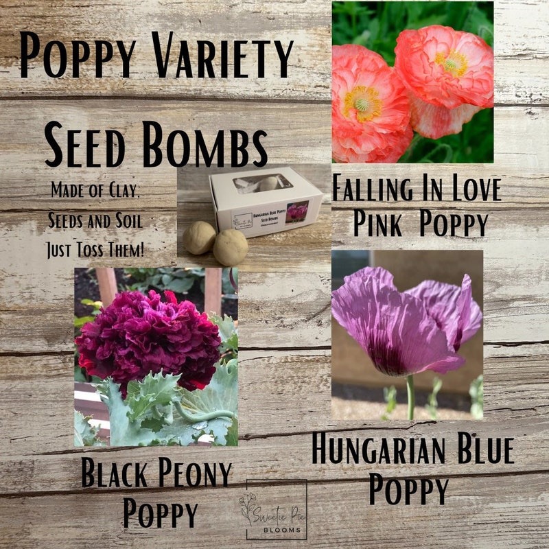Poppy Flower Seeds - Etsy