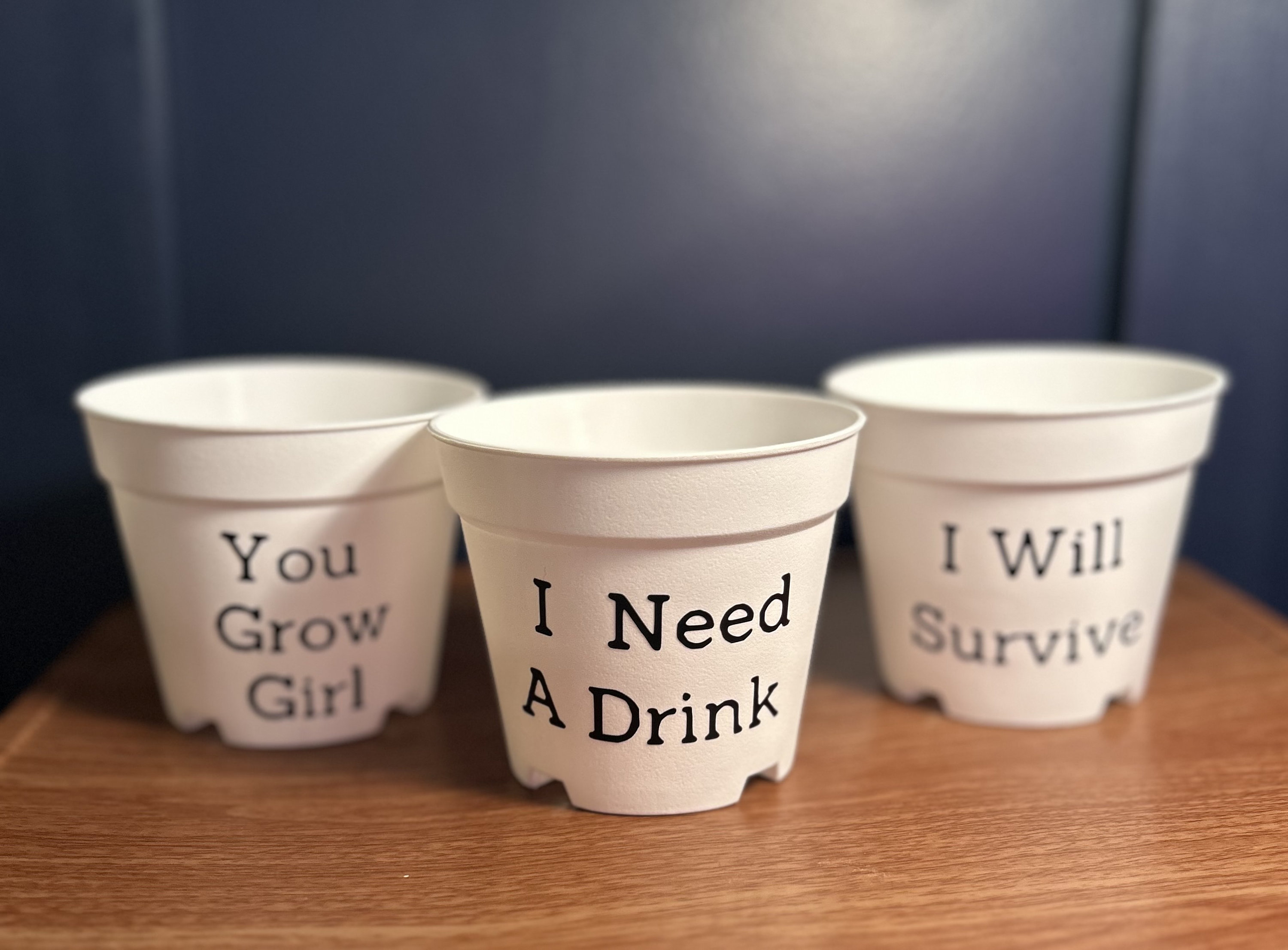 Funny Plant Flower Reusable Pot, Saucer, Potting Soil Pellets ...