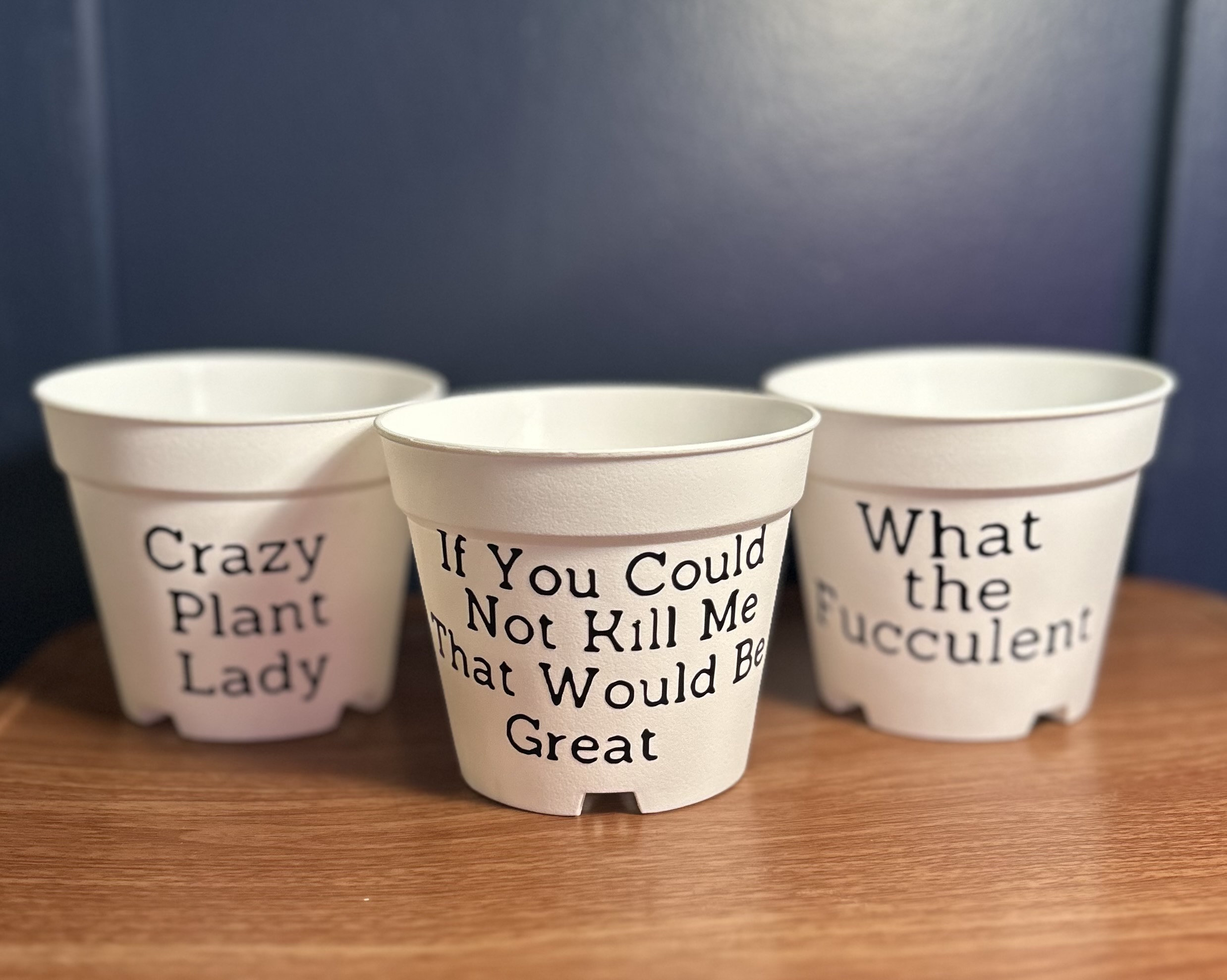 Funny Plant Flower Reusable Pot, Saucer, Potting Soil Pellets ...