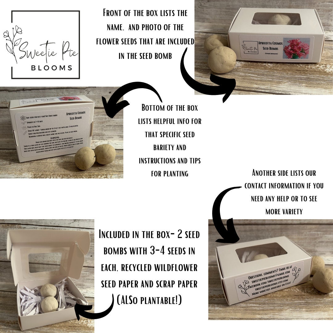 Mixed Daisy Seed Bombs Clay Seed Ball Just Toss Them Out Pink Shades ...