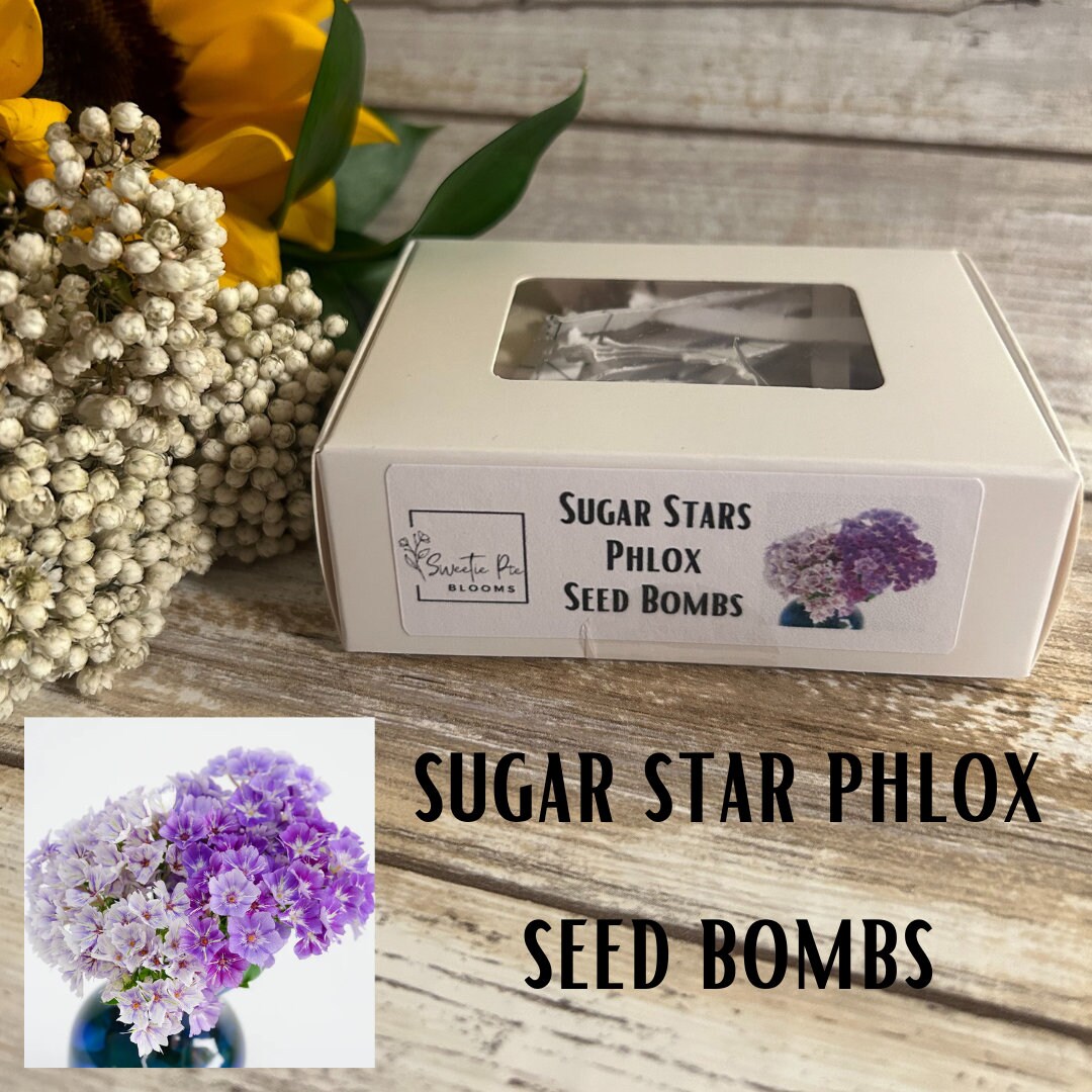 Phlox Seed Bombs Clay Seed Ball Just Toss Them Out Spring Flower Garden ...