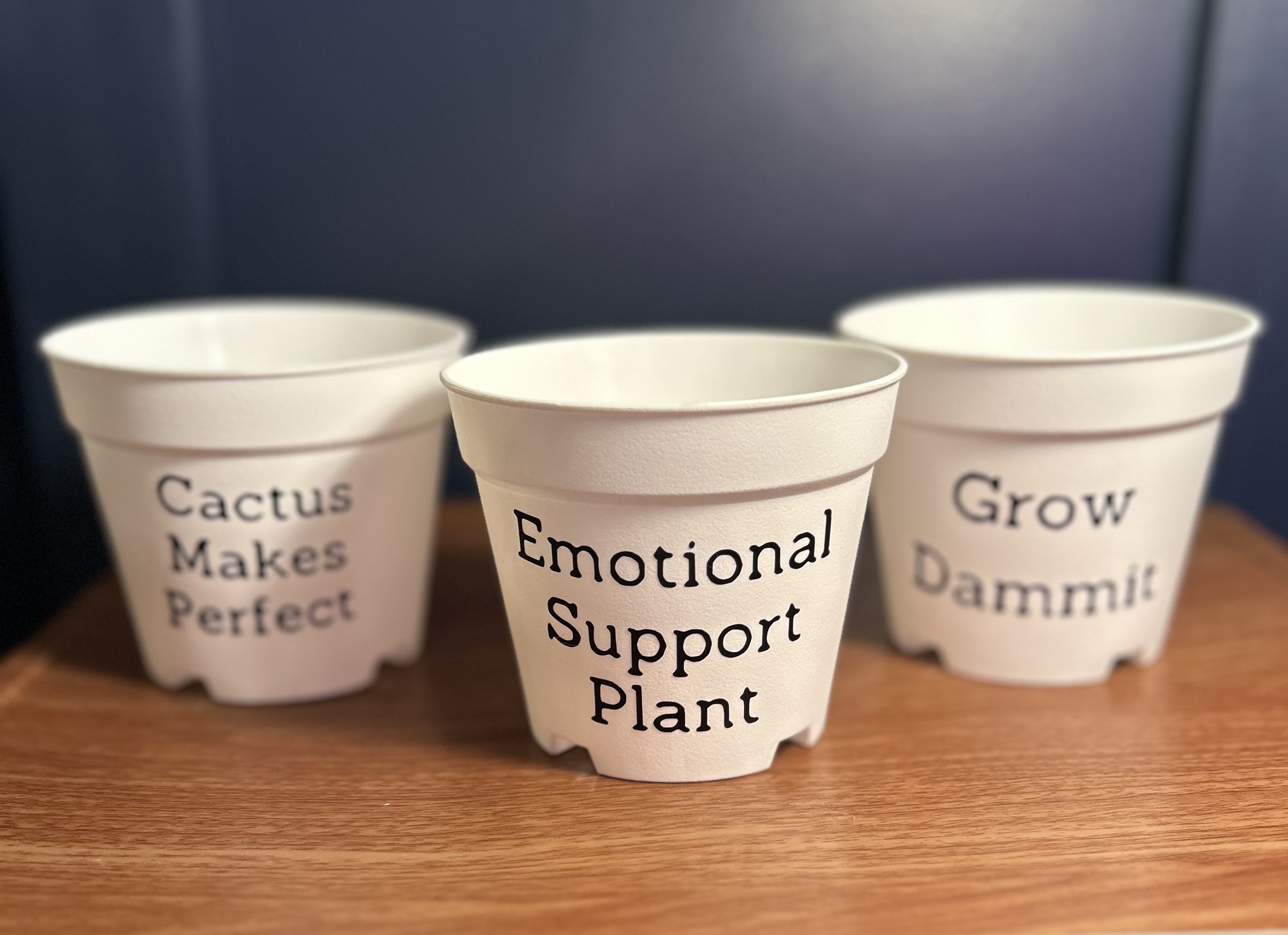 Funny Plant Flower Reusable Pot, Saucer, Potting Soil Pellets ...