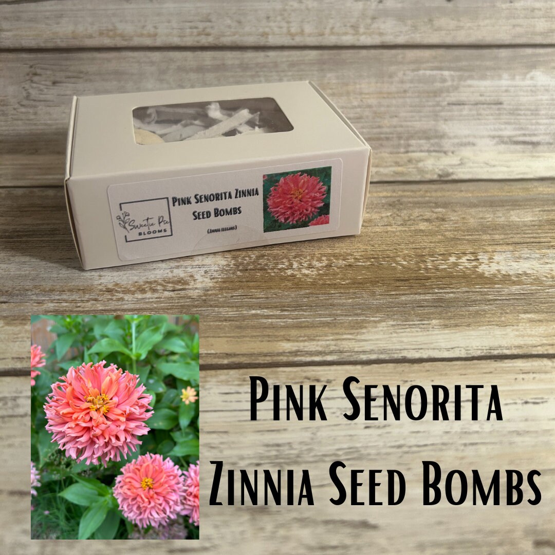 Zinnia Seed Bombs Clay Seed Ball Just Toss Them Out Spring Flower ...