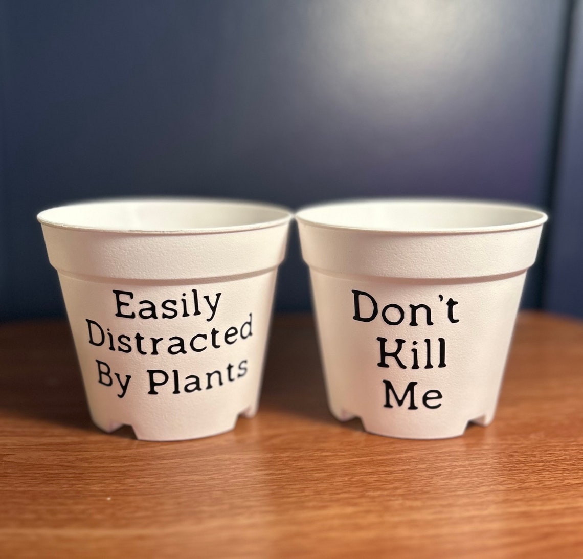 Funny Plant Flower Reusable Pot, Saucer, Potting Soil Pellets ...