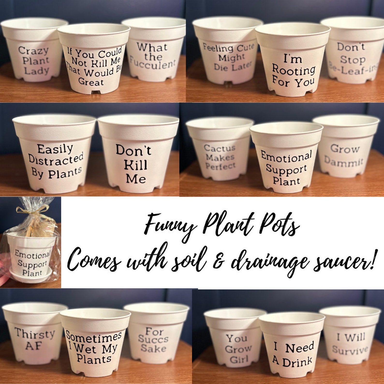 Funny Plant Flower Reusable Pot, Saucer, Potting Soil Pellets ...