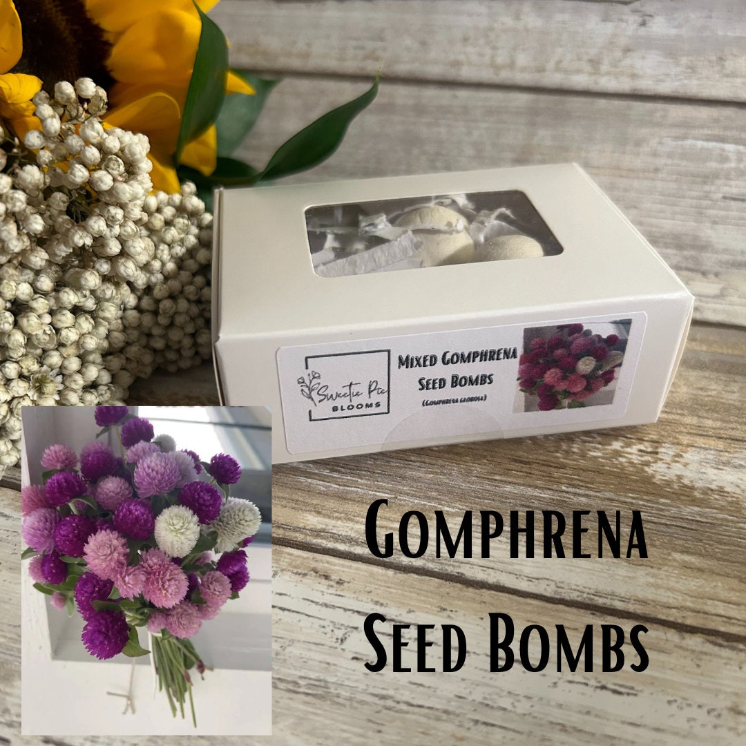 Gomphrena Seed Bombs Clay Seed Ball Just Toss Them Out Spring Flower ...