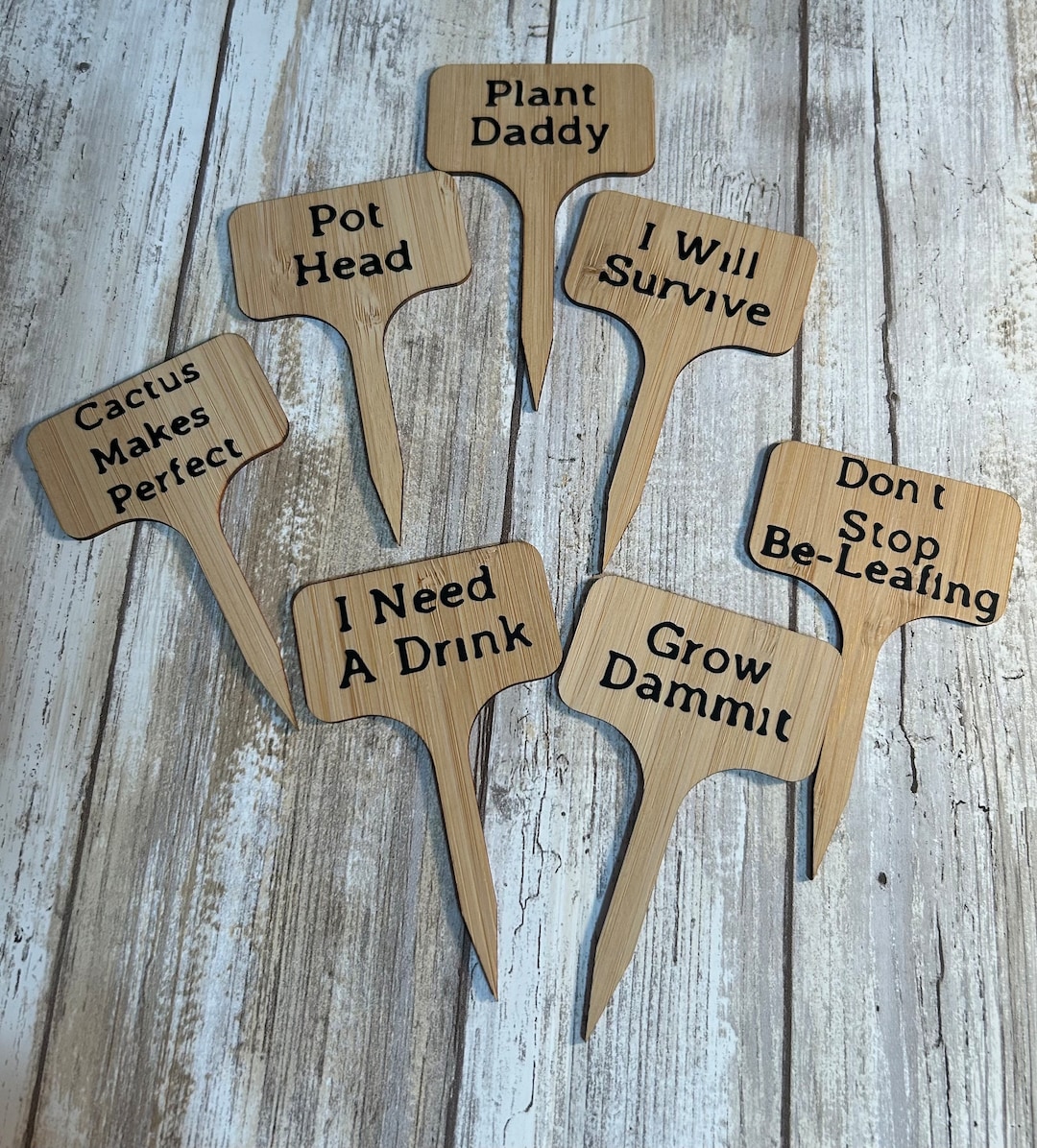 Funny Plant Stakes Wooden With Funny Sayings for House Plants - Etsy