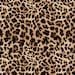 Elegant Gold Leopard PNG Digital Downloads - Luxurious Leopard Print ...
