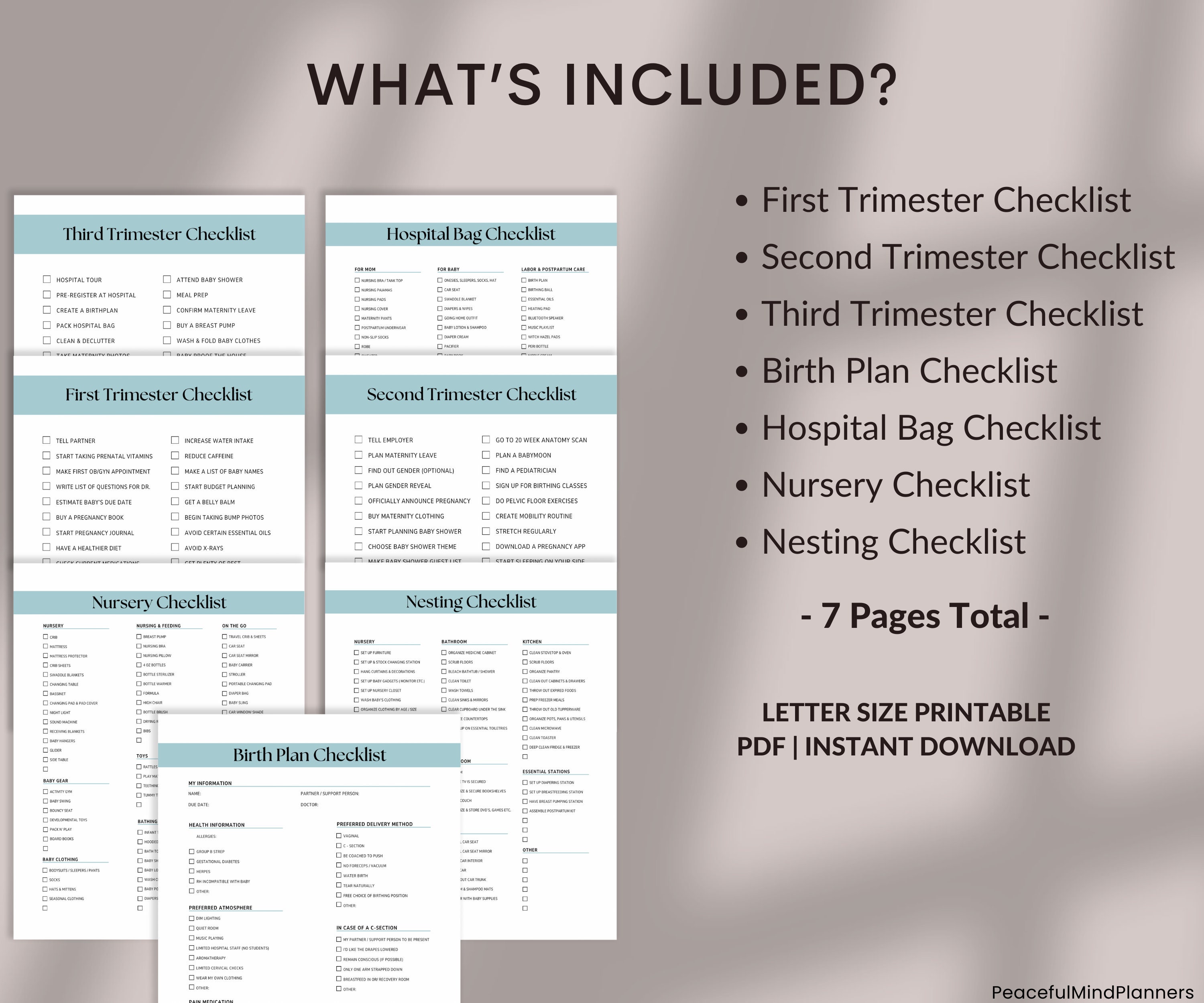 Pregnancy Checklist Bundle Printable, Pregnancy Planner, Pregnancy to ...