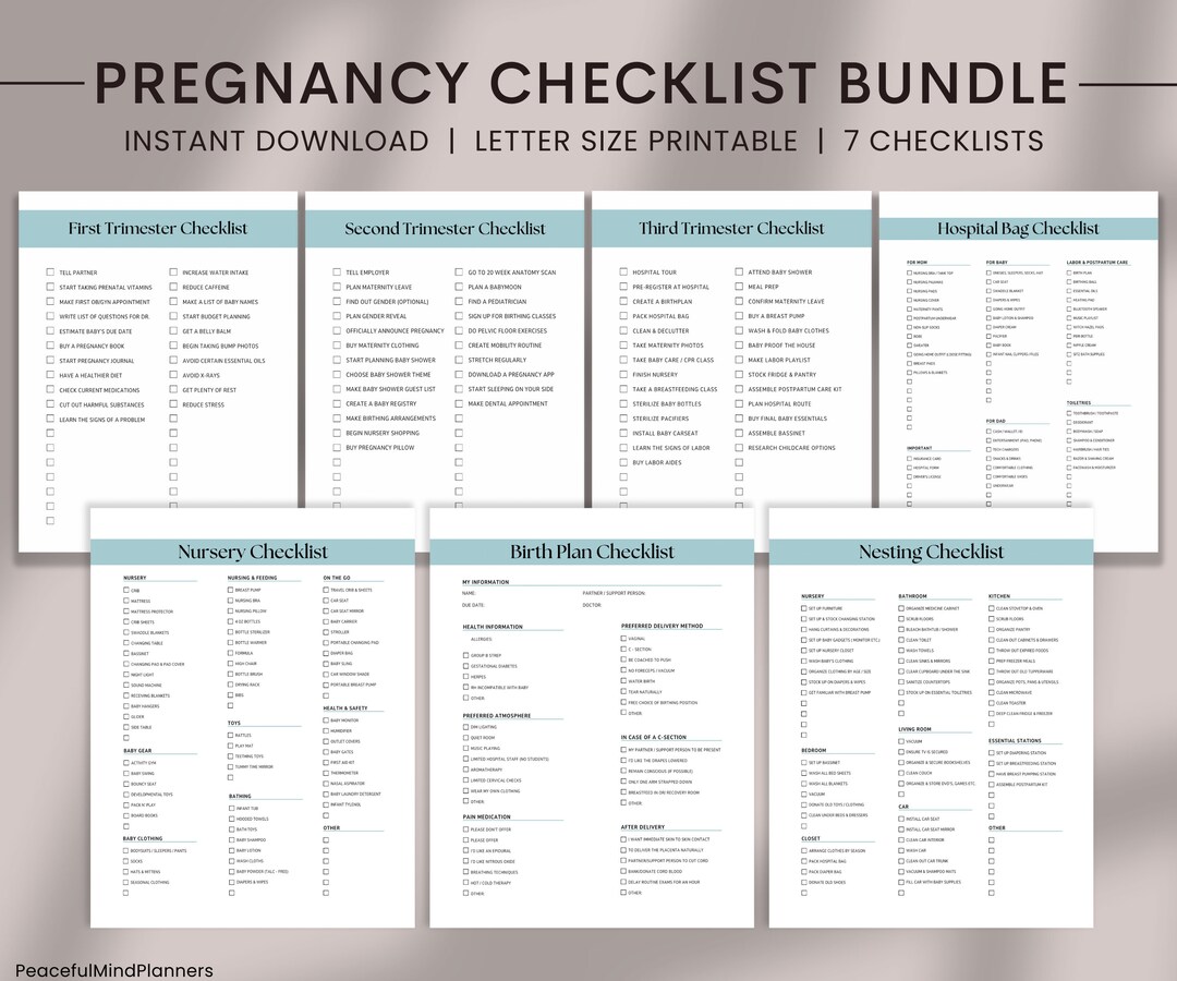 Pregnancy Checklist Bundle Printable, Pregnancy Planner, Pregnancy to ...