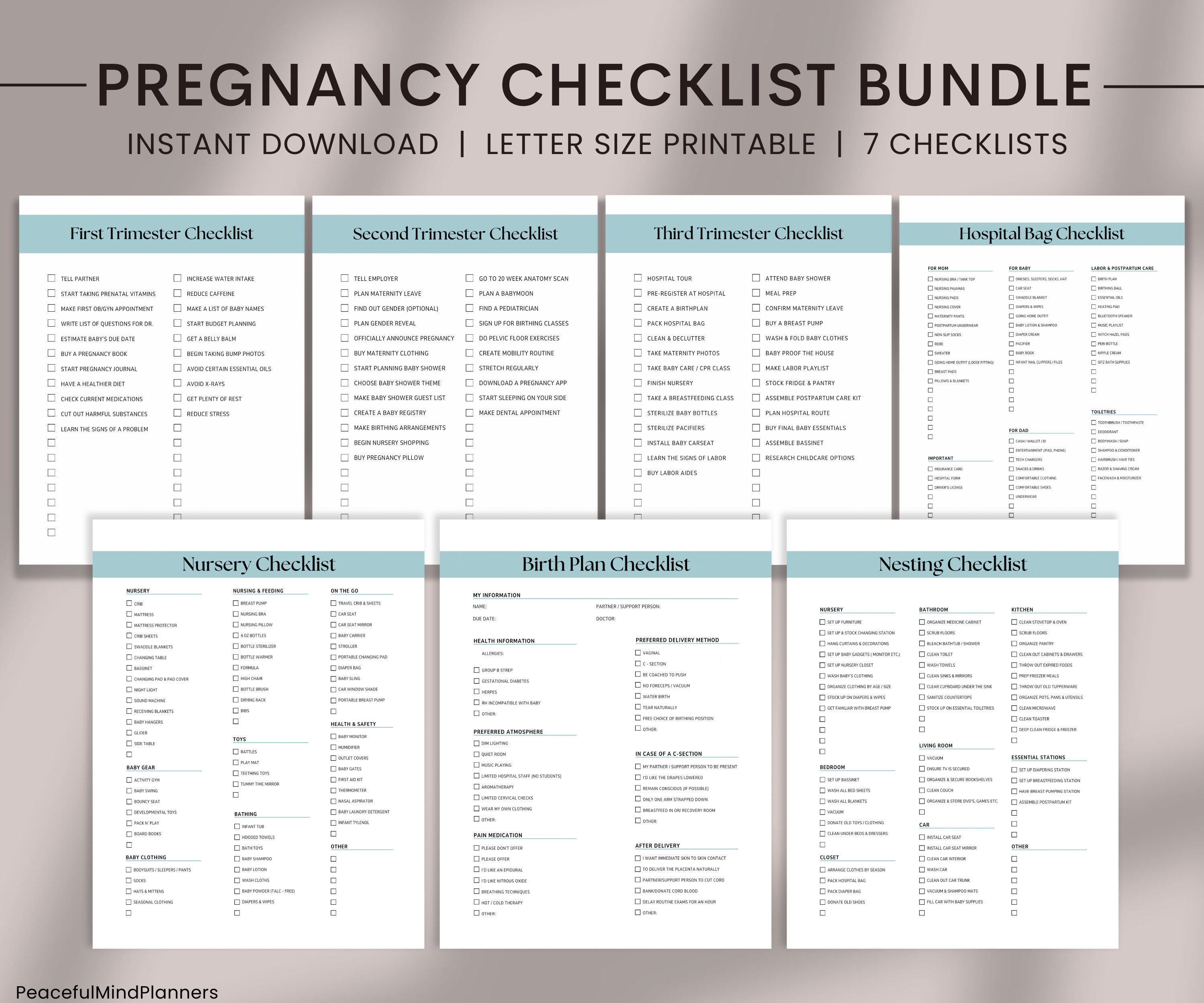 Pregnancy Checklist Bundle Printable, Pregnancy Planner, Pregnancy to ...