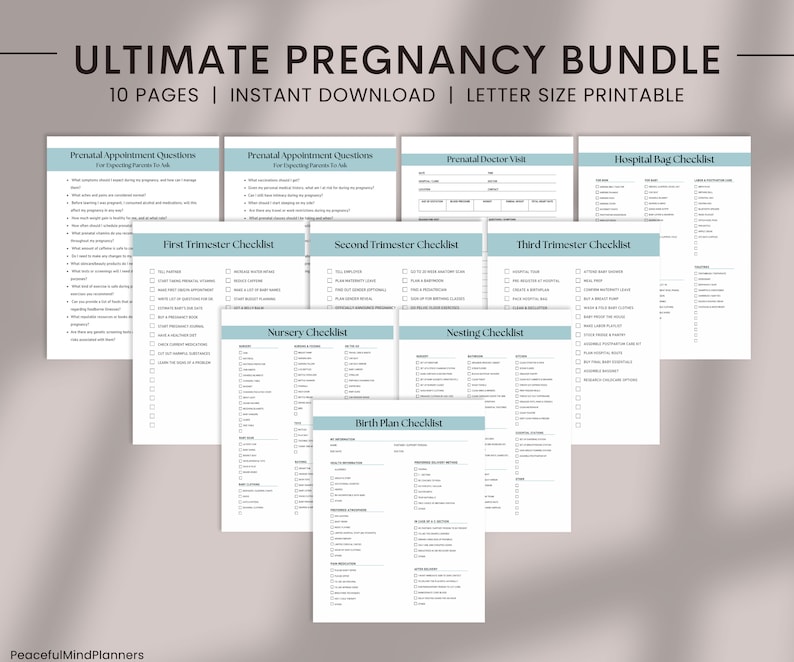 Pregnancy Checklist Bundle Printable, Pregnancy Planner, Expecting ...