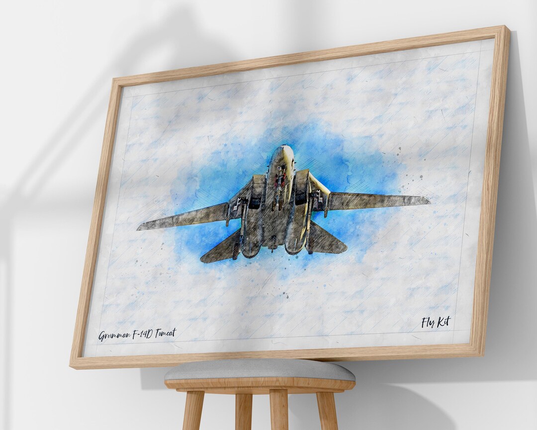 Grumman F-14 Tomcat Painting Premium Matte Paper Poster - Etsy Canada