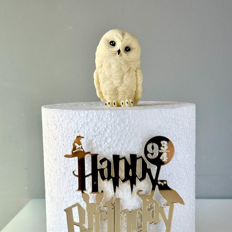 Potter Cake Topper Edible - Etsy