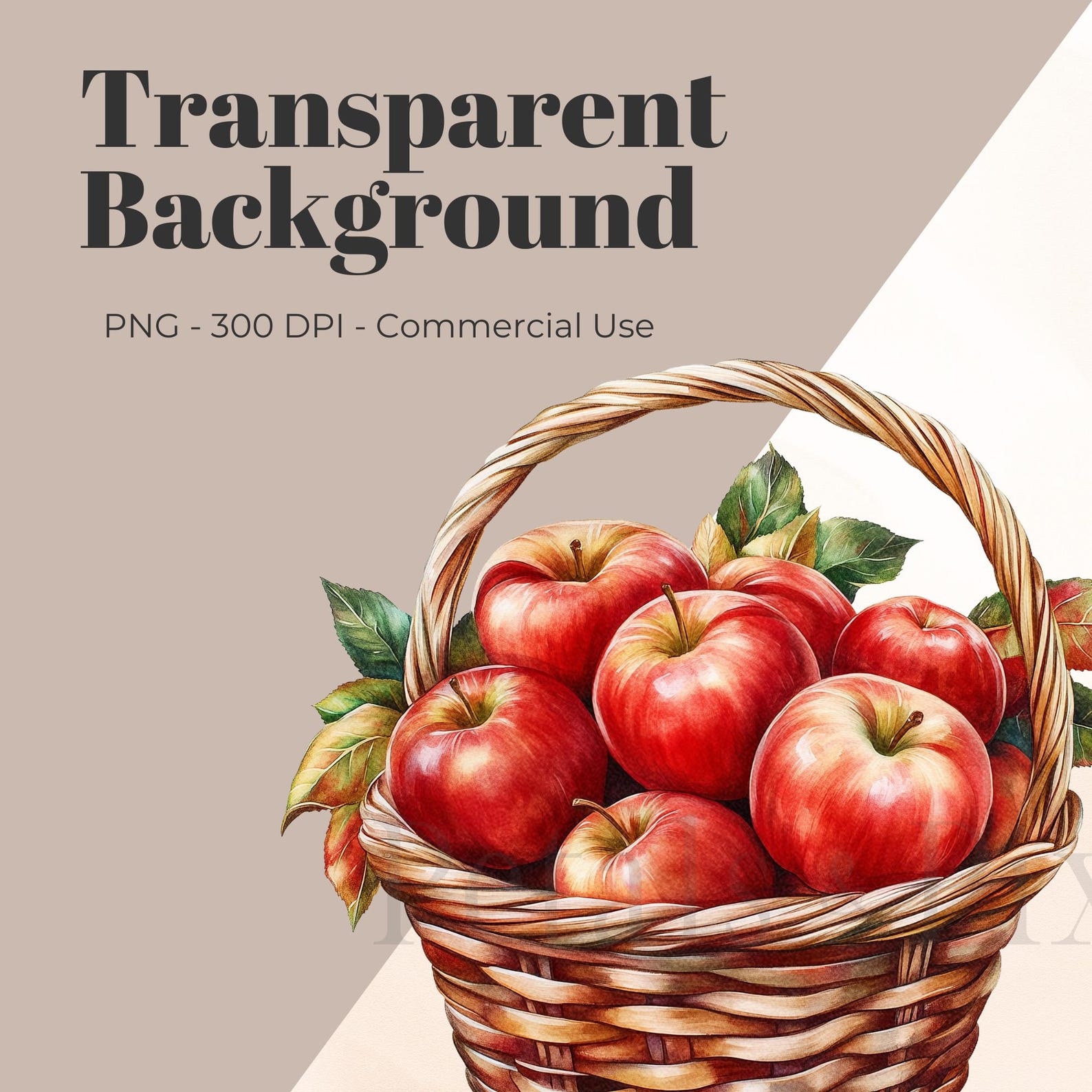 Apple Orchard Clipart Watercolor Fall Apple Harvest Themed Graphics Red ...