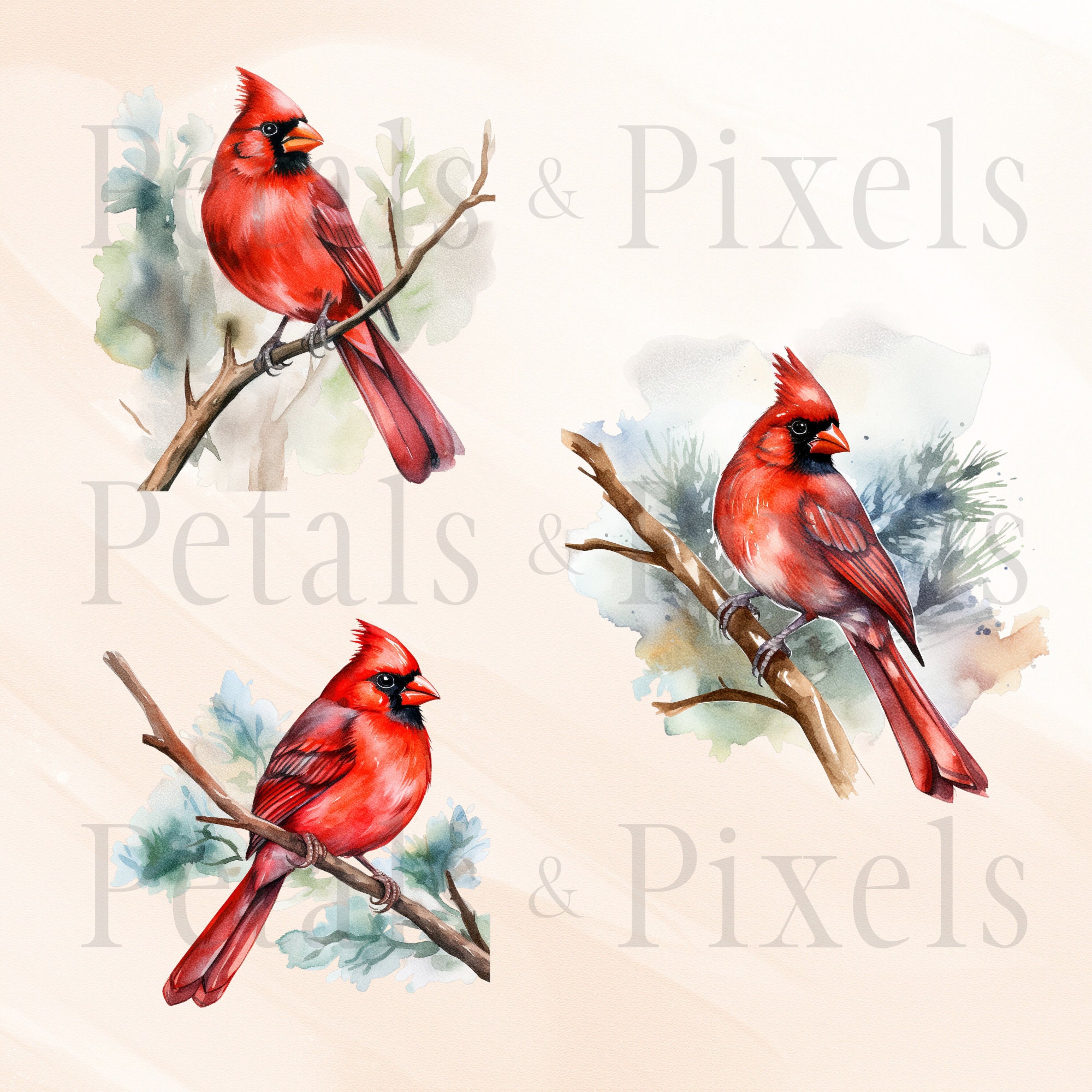 Red Cardinal Clipart, Watercolor Clipart, Winter Red Bird on Branch ...
