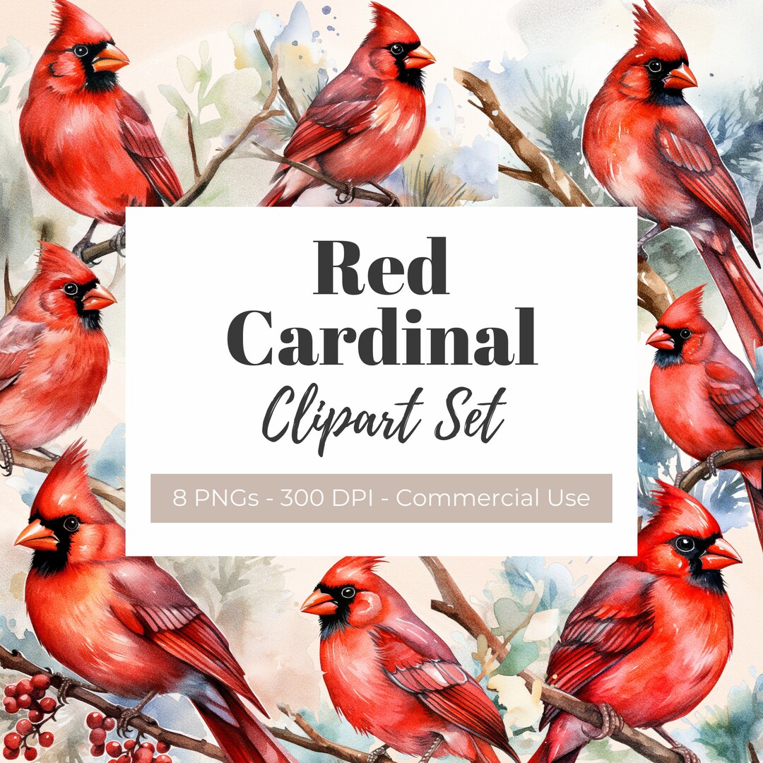 Red Cardinal Clipart, Watercolor Clipart, Winter Red Bird on Branch ...