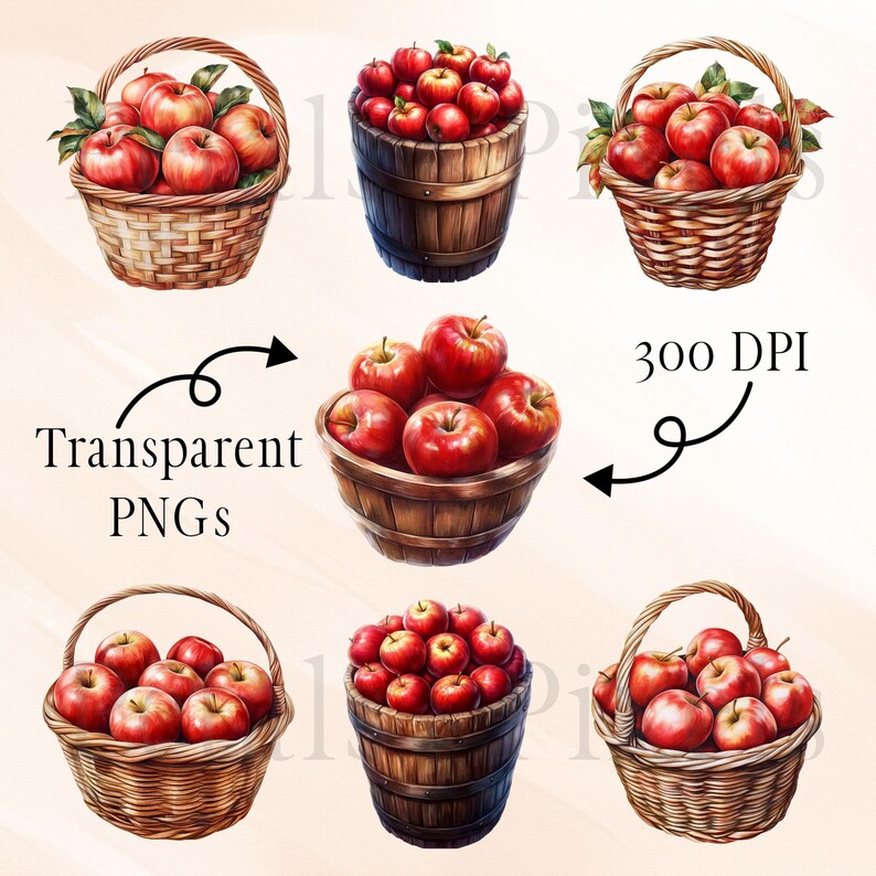 Apple Orchard Clipart Watercolor Fall Apple Harvest Themed Graphics Red ...