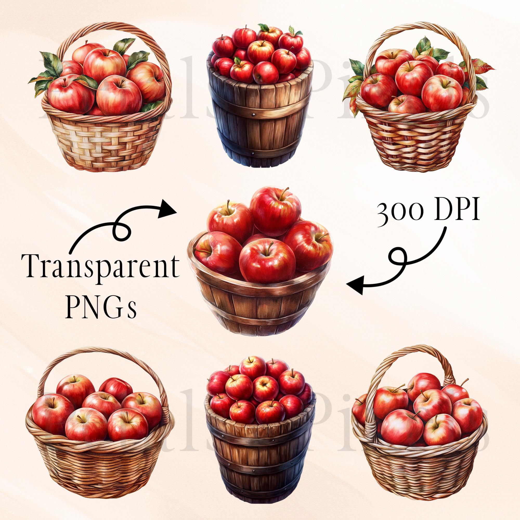 Apple Orchard Clipart Watercolor Fall Apple Harvest Themed Graphics Red ...