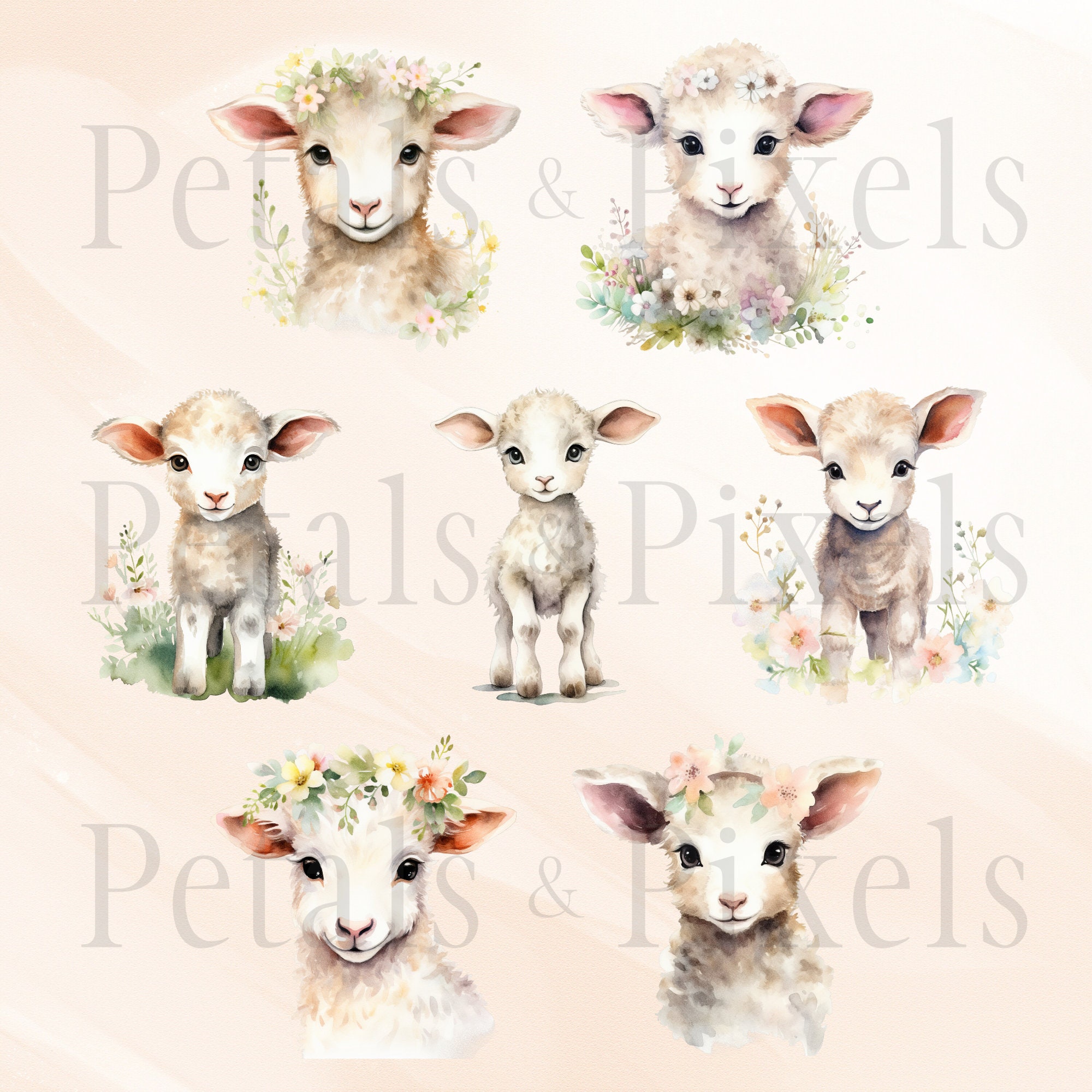 Cute Lamb Clipart, Watercolor Clipart, Baby Sheep Clipart, Spring ...
