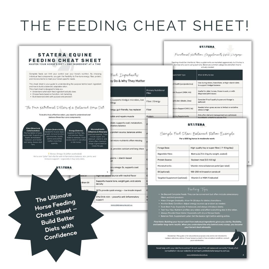 Horse Feeding Cheat Sheet | Equine Nutrition Guide | Printable PDF for ...