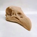 Black Vulture Skull Replica – Life Size 3D Printed Bone White | Gothic ...
