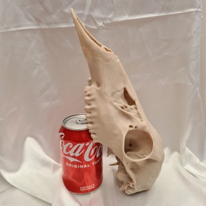Deer Skull Life Size - 3D Printed Animal Replicas, Ideal Shelf ...