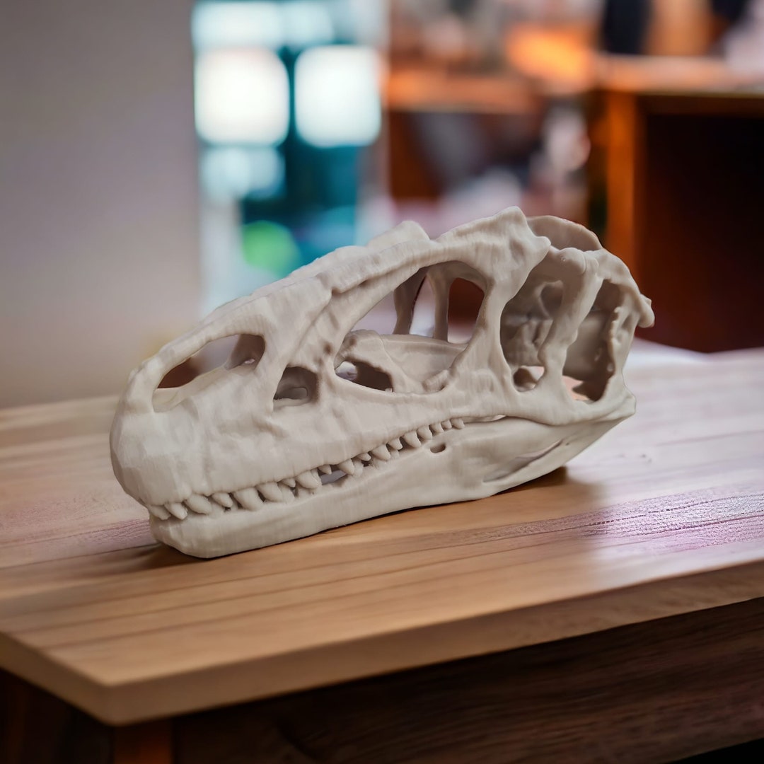 Allosaurus Dinosaur Skull 3D Printed Replicas, Ideal Shelf Decorations ...