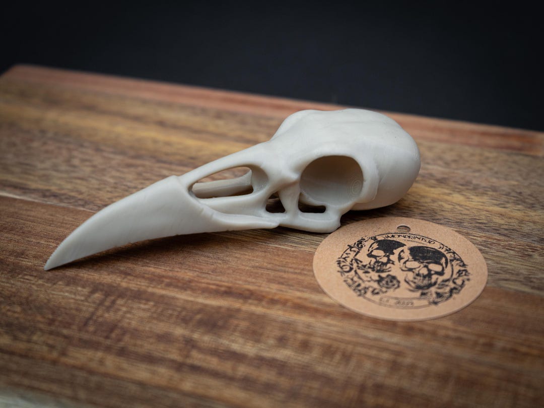Raven Skull Replica – Life Size 3D Printed Bone White | Gothic Décor - Etsy