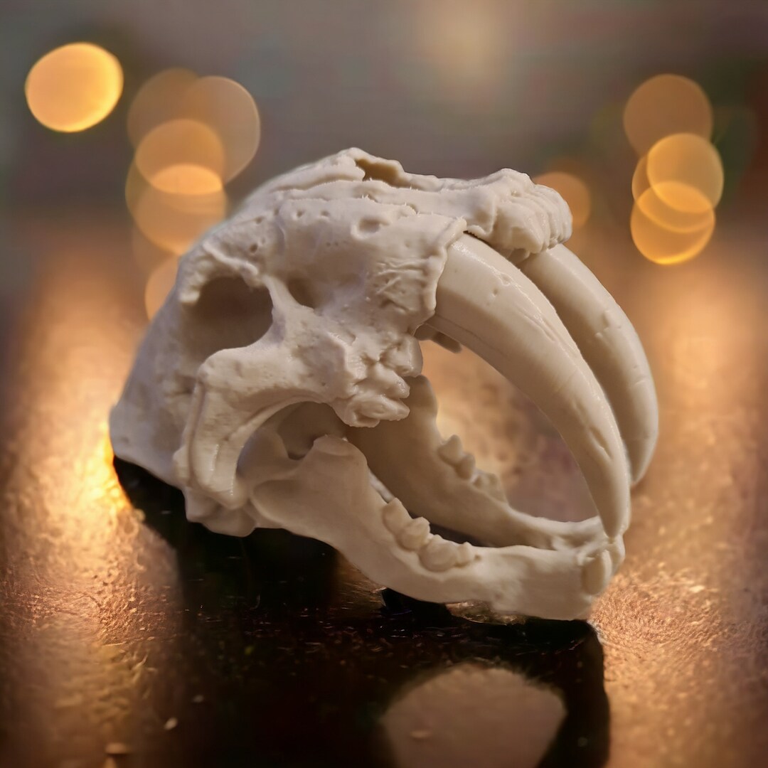 Sabretooth Cat Skull 3D Printed Animal Replicas, Ideal Shelf ...